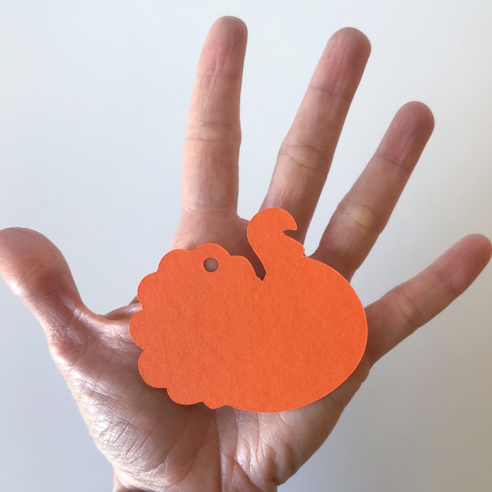 Blank Turkey Tags Thanksgiving Tags Turkey Favor Tags - Etsy