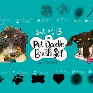 Pet Doodle Procreate Brushes - Whiskers - Hair Ball - Fur Brush - Paw Prints - Pet Tags - Etsy