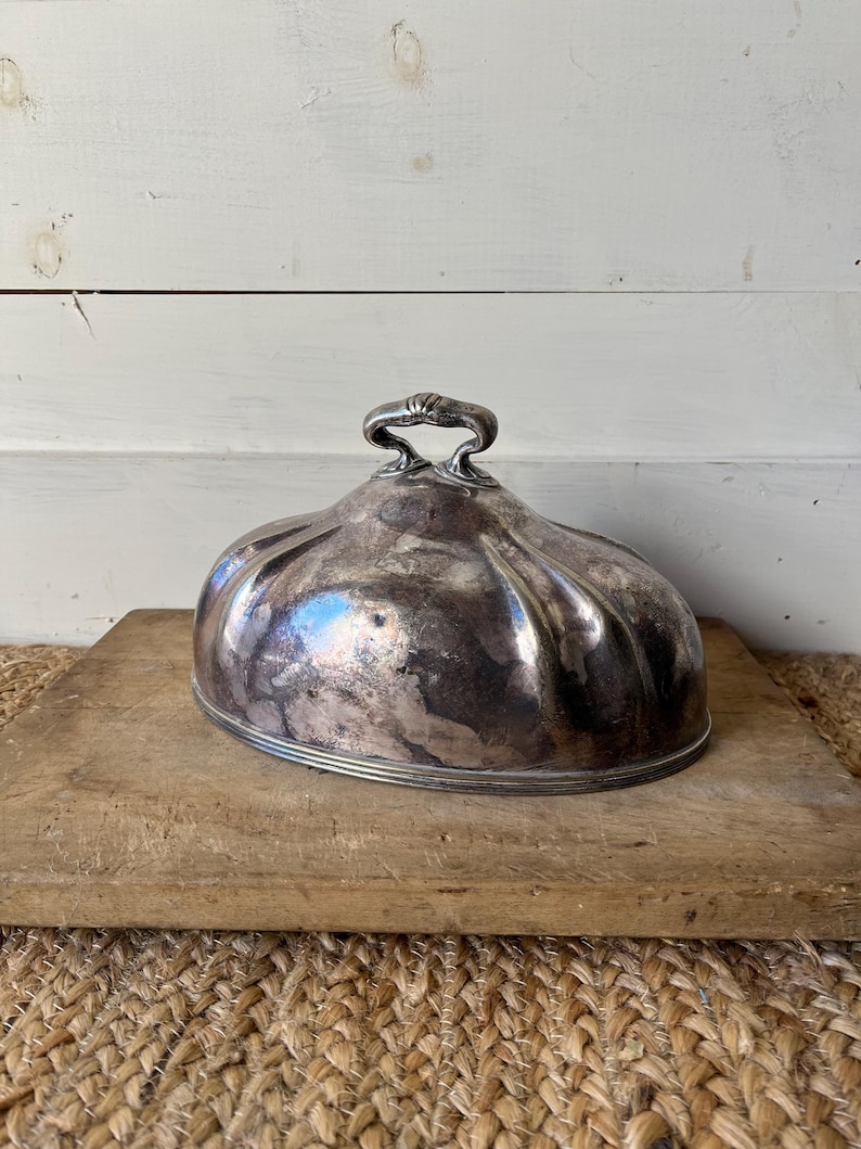 Vintage Silver Dome - Etsy
