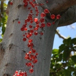 4 Foot Long Red Beaded Wire Wrappable Garland, Red Frosted + Red ...