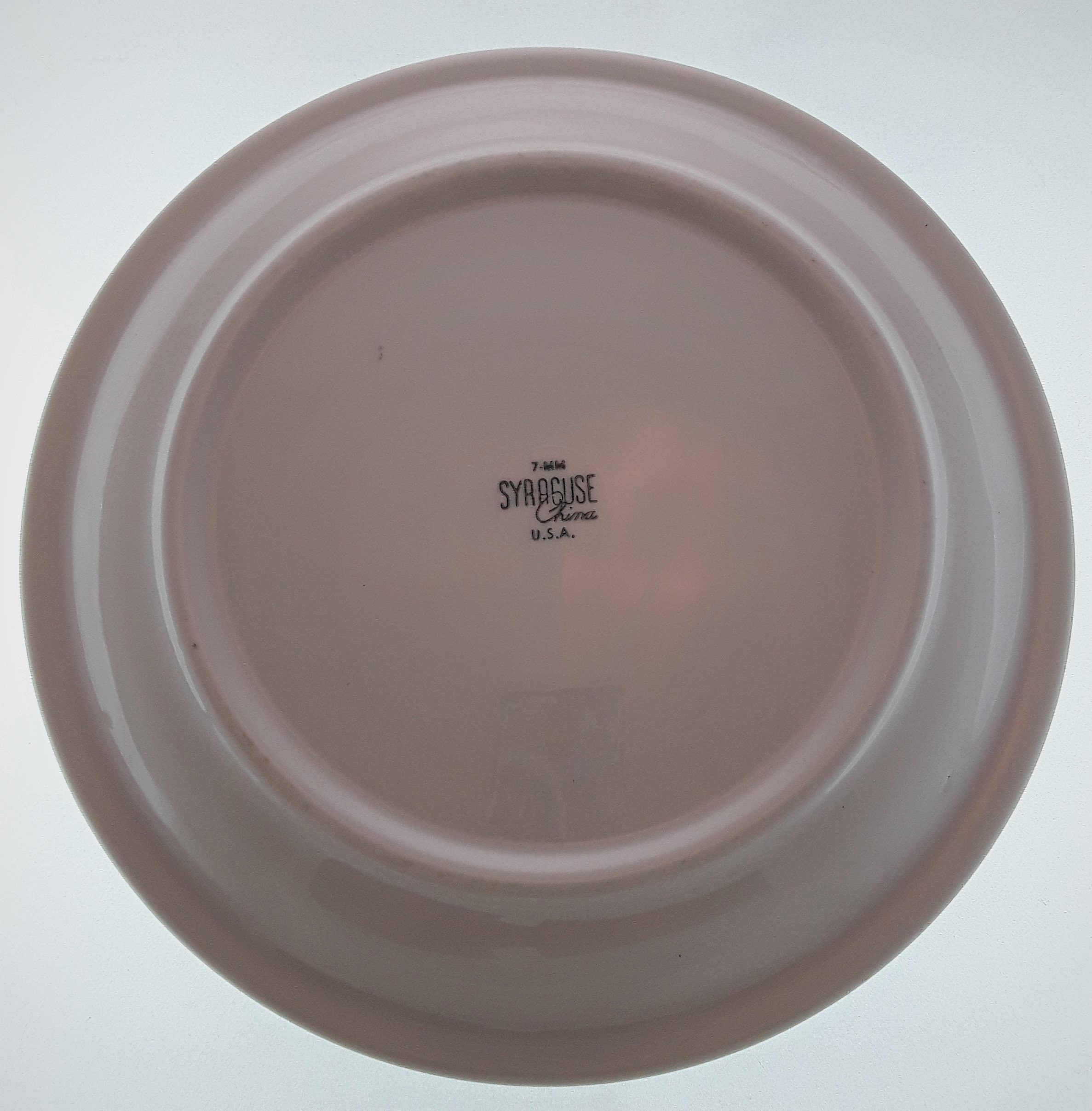 Vintage Syracuse China Restaurantware Millbrook Airbrushed Flowers ...