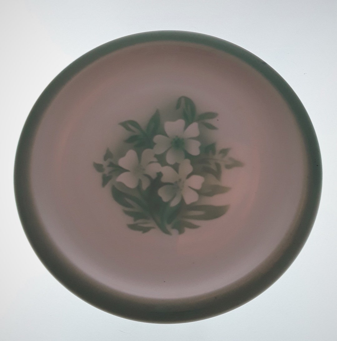 Vintage Syracuse China Restaurantware Millbrook Airbrushed Flowers ...
