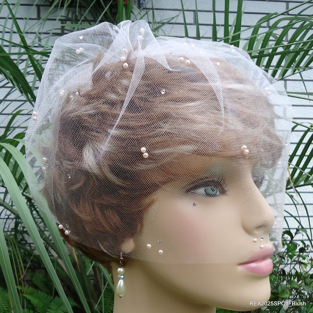 Birdcage Veil, Blush or Rosewater Veil, Tulle Mini Veil, Bridal Veil, Wedding Veil, 10 Inch Veil ...