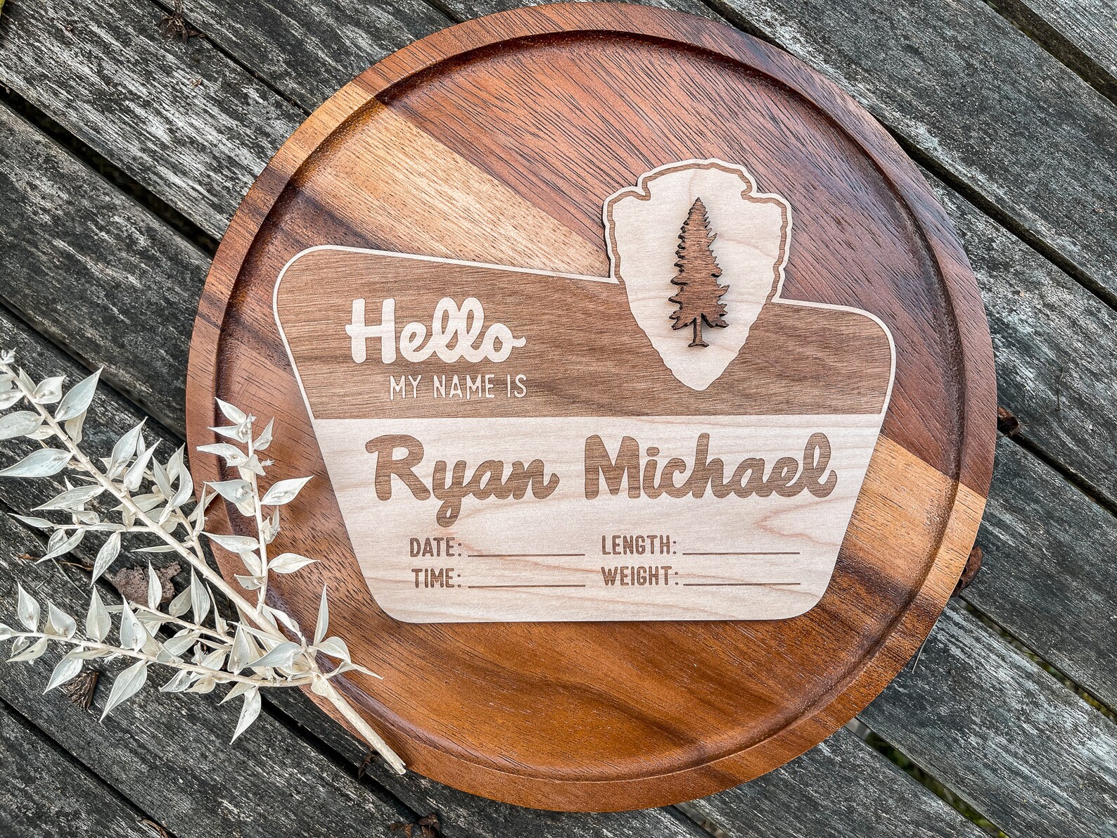 National Park Inspired Baby Announcement Sign | Baby Stats Sign ...