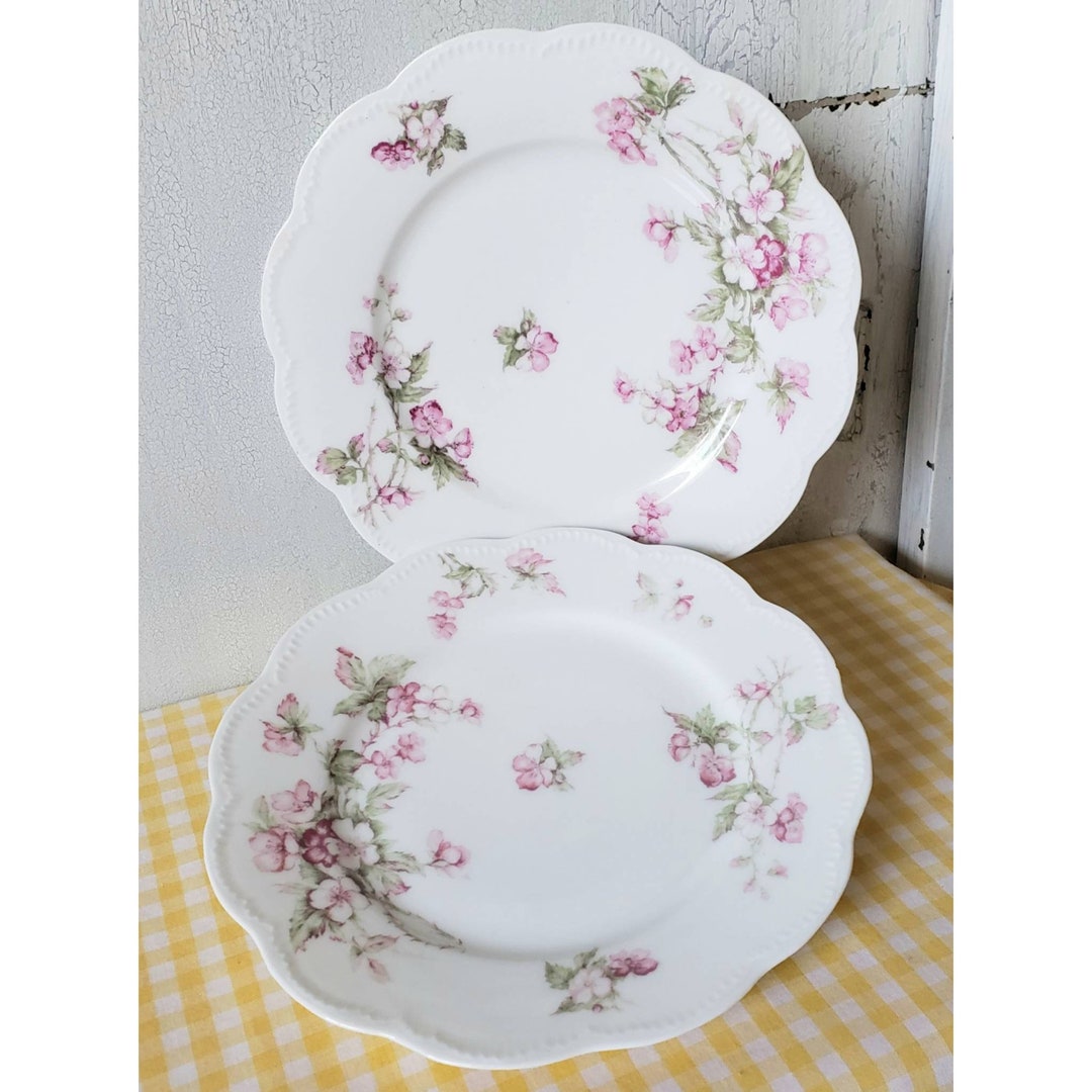 Vintage Limoges Haviland France Plates Cherry Blossom Flowers Pink ...