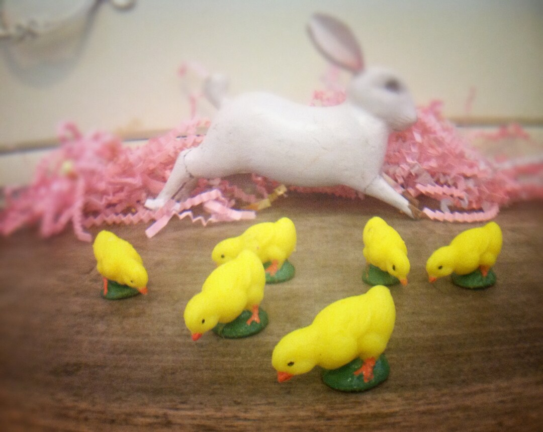 6 Tiny Chicks, Mini Chickens, Miniature Hens Feeding - Etsy