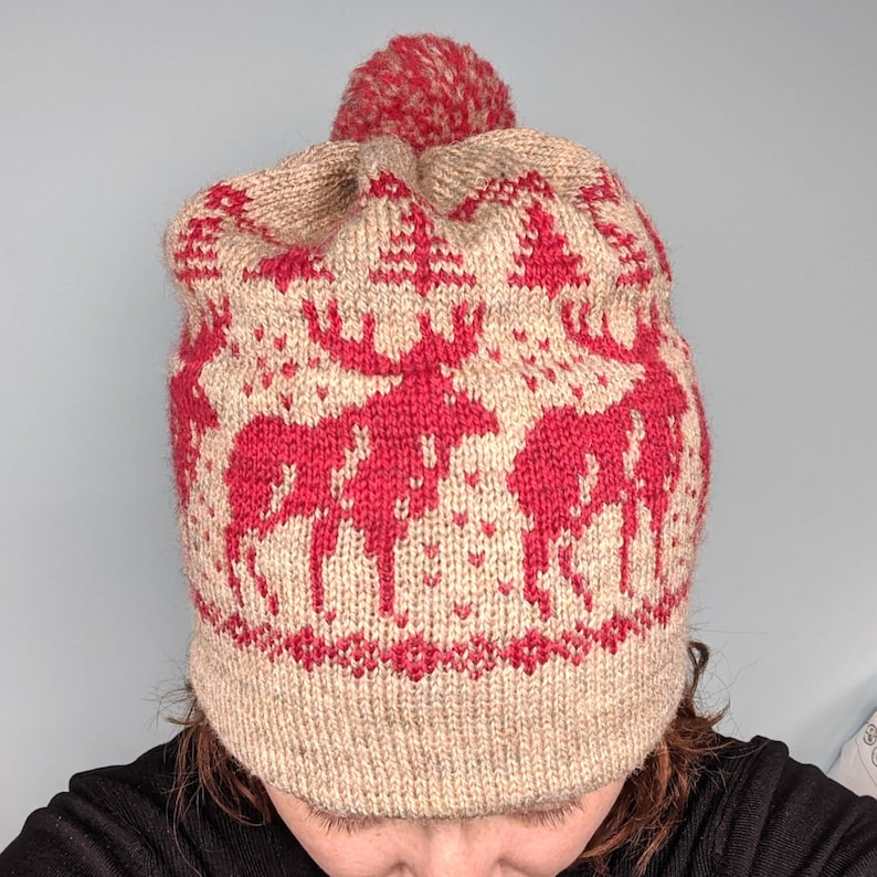 Knit Hats Home Alone Inspired Kevin Mccallister Knit Moose - Etsy