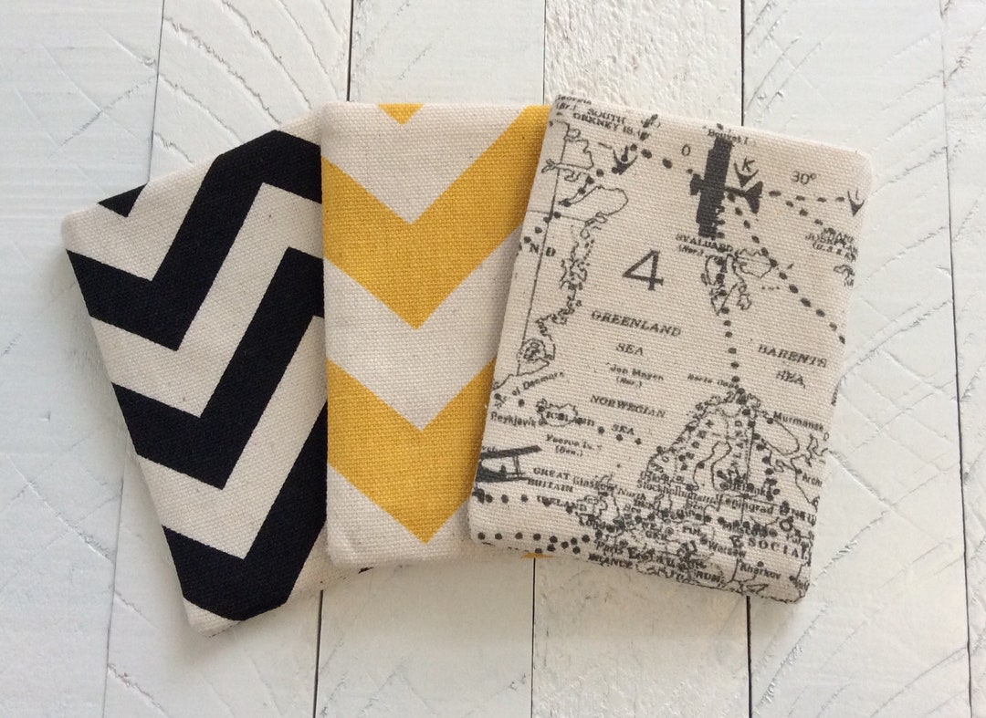 Map Travel Pill Case Paris Birth Control Pill Sleeve Chevron Pill Cover ...