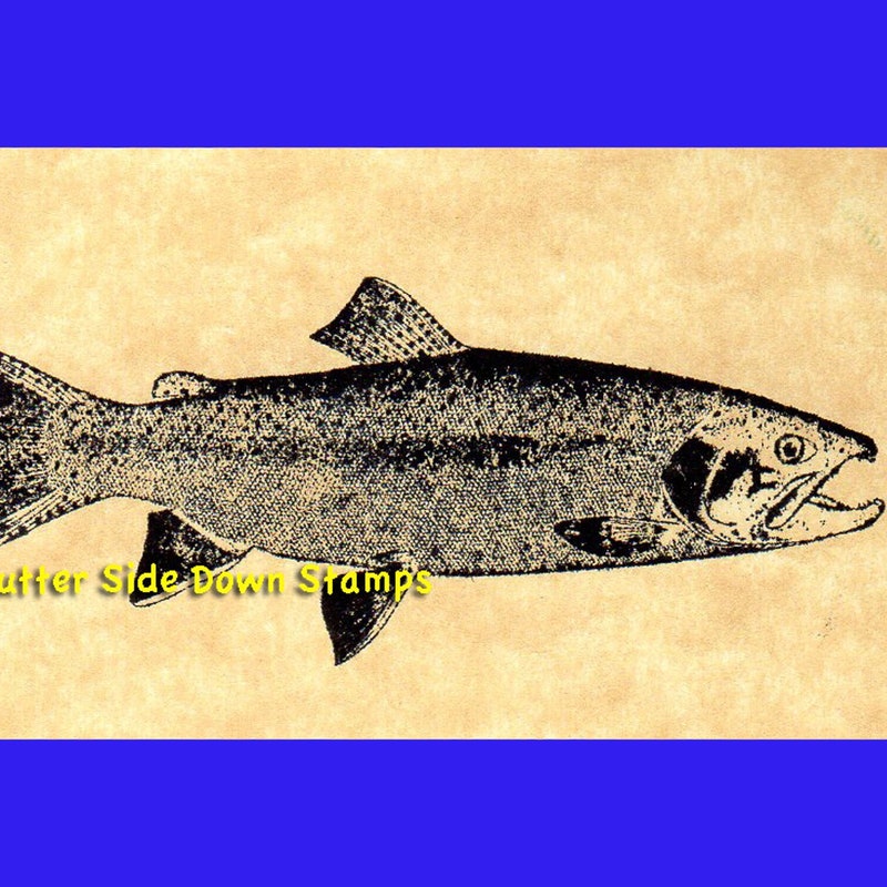 Fish Rubber Stamp - Etsy
