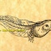 Pollywog Tadpole Rubber Stamp - Etsy