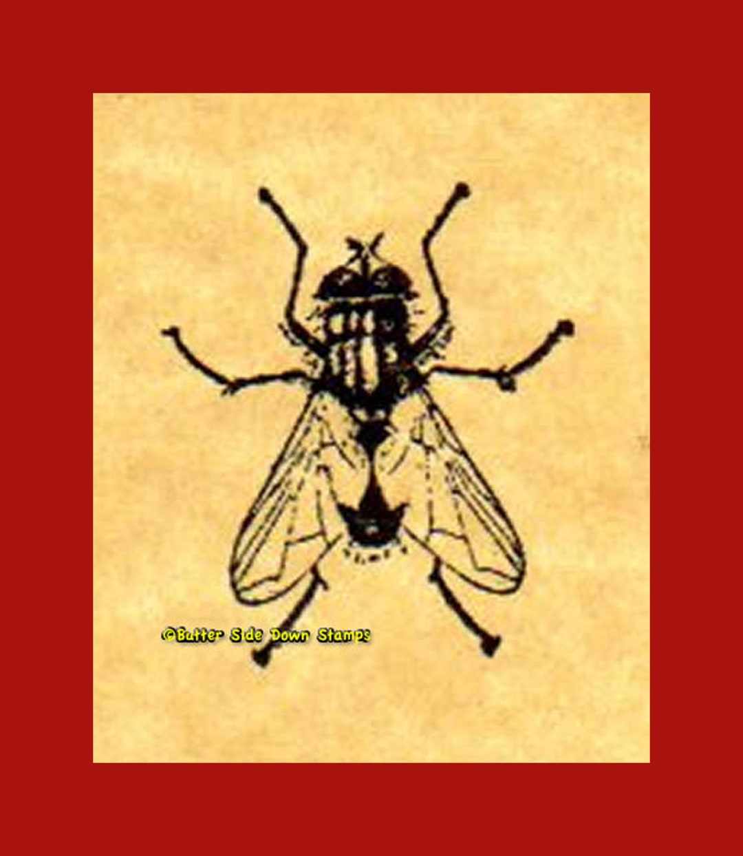 House Fly Rubber Stamp - Etsy