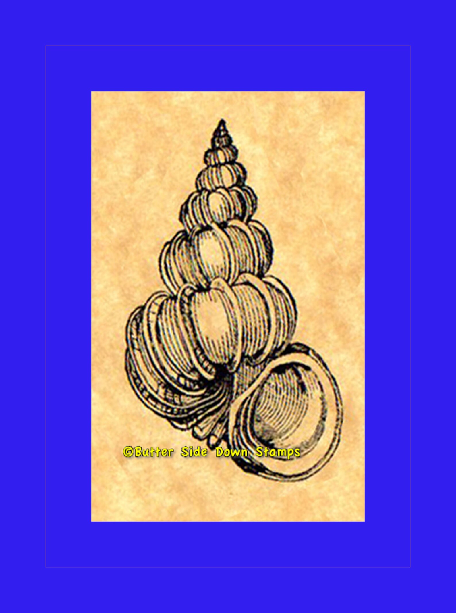 Wentletrap Shell Rubber Stamp Seashell | Etsy