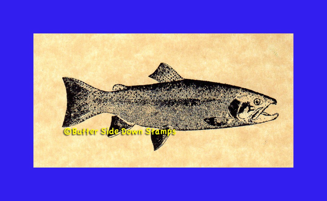 Rainbow Trout Game Fish Rubber Stamp - Etsy