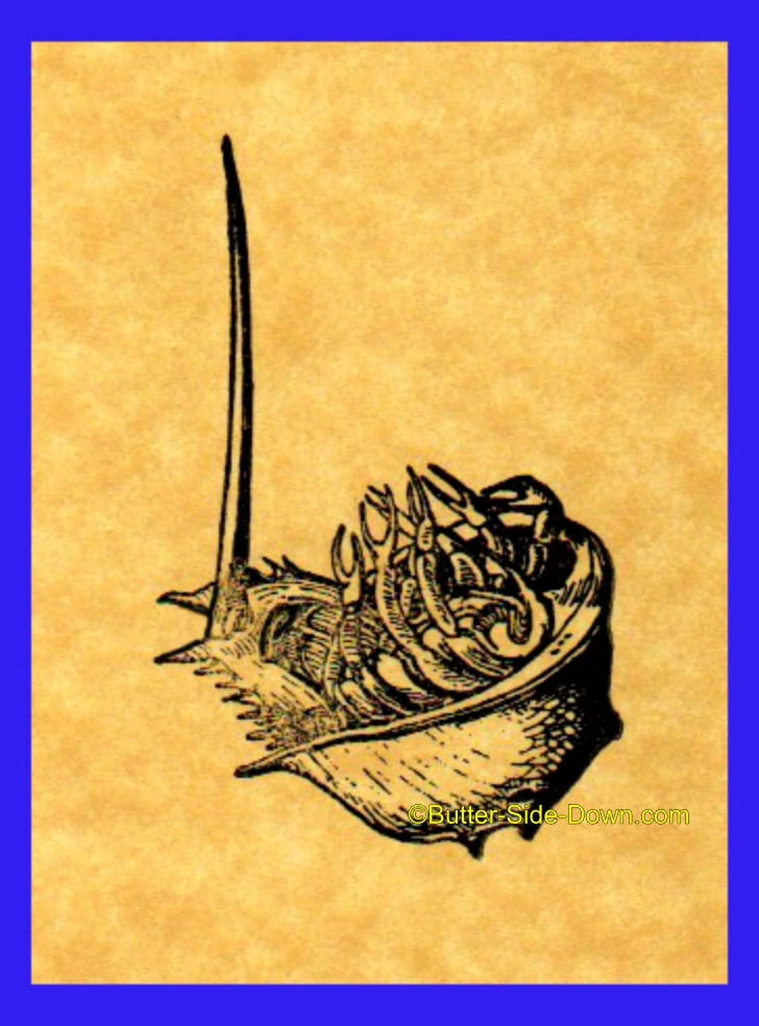Overturned Horseshoe Crab Rubber Stamp - Etsy