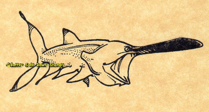 Paddlefish Rubber Stamp - Etsy