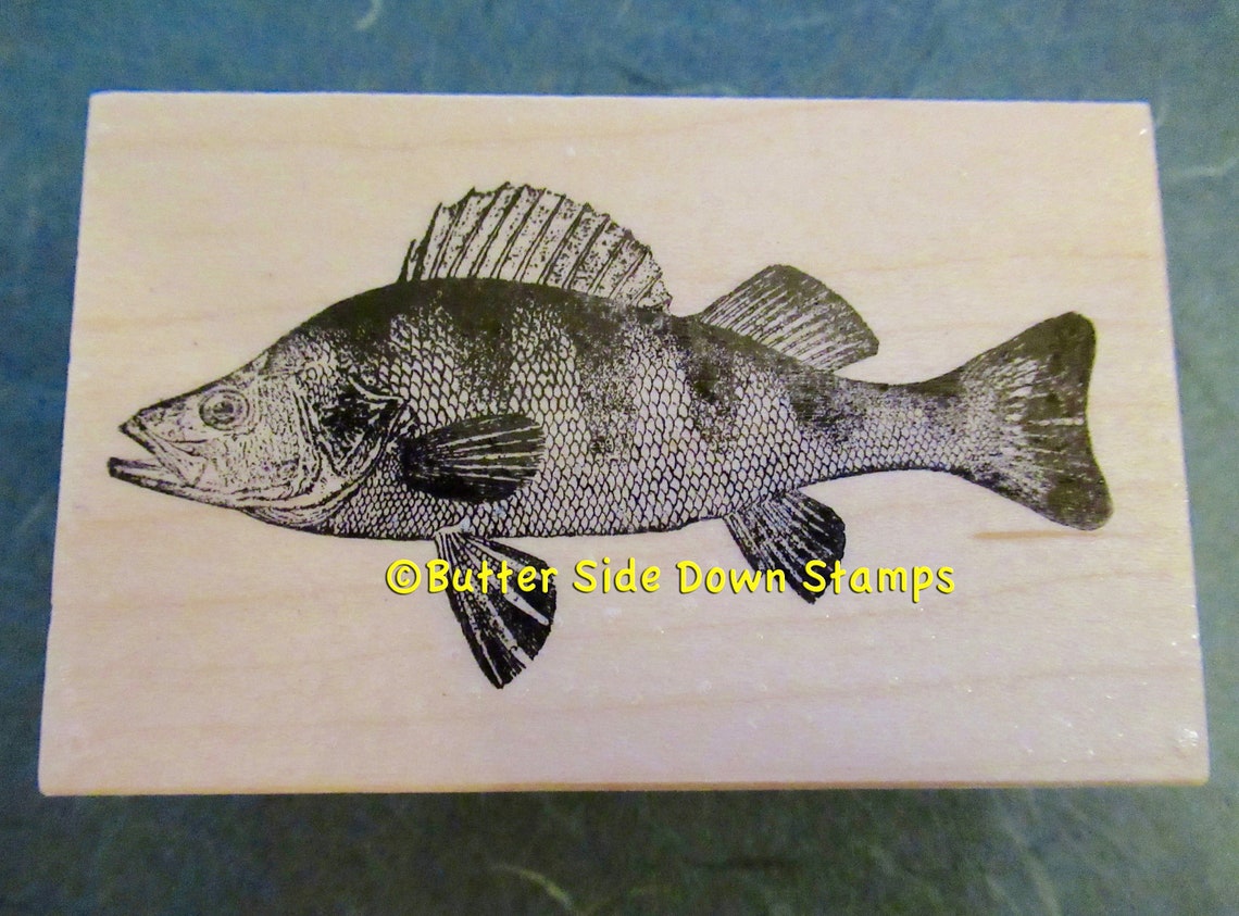 Yellow Perch Gamefish Rubber Stamp - Etsy