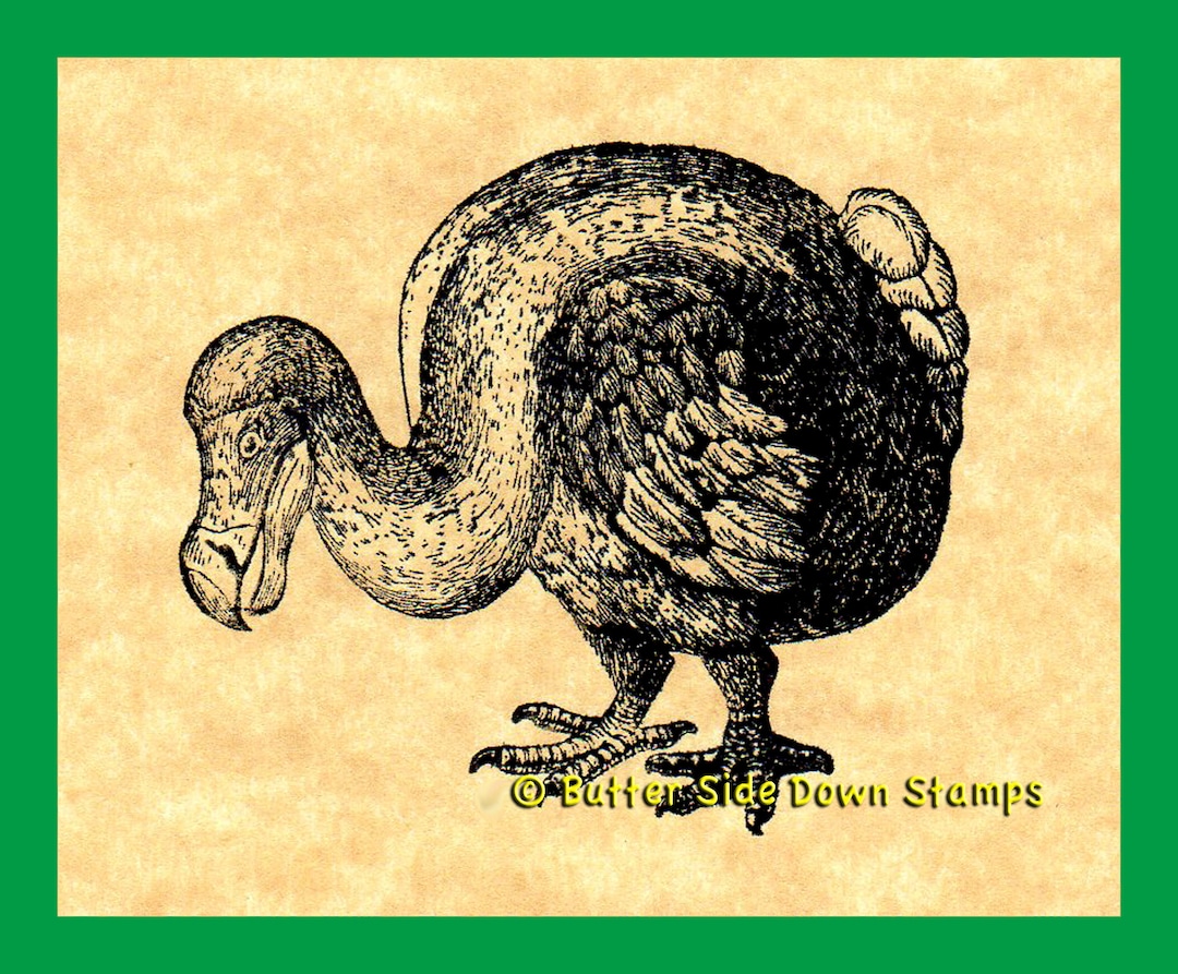 Extinct Dodo Bird Rubber Stamp - Etsy