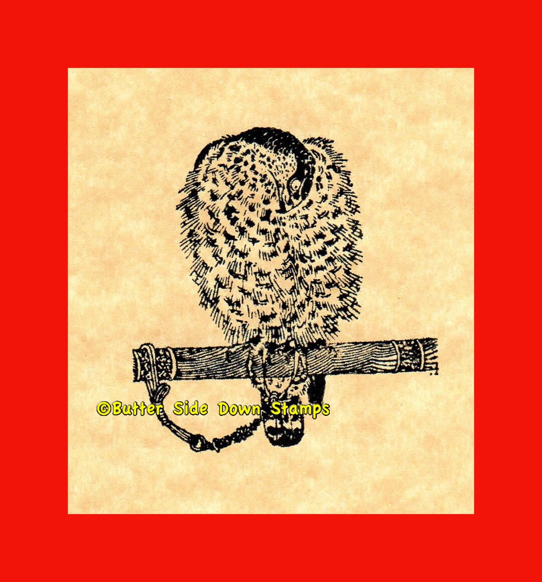 Sparrowhawk Rubber Stamp - Etsy