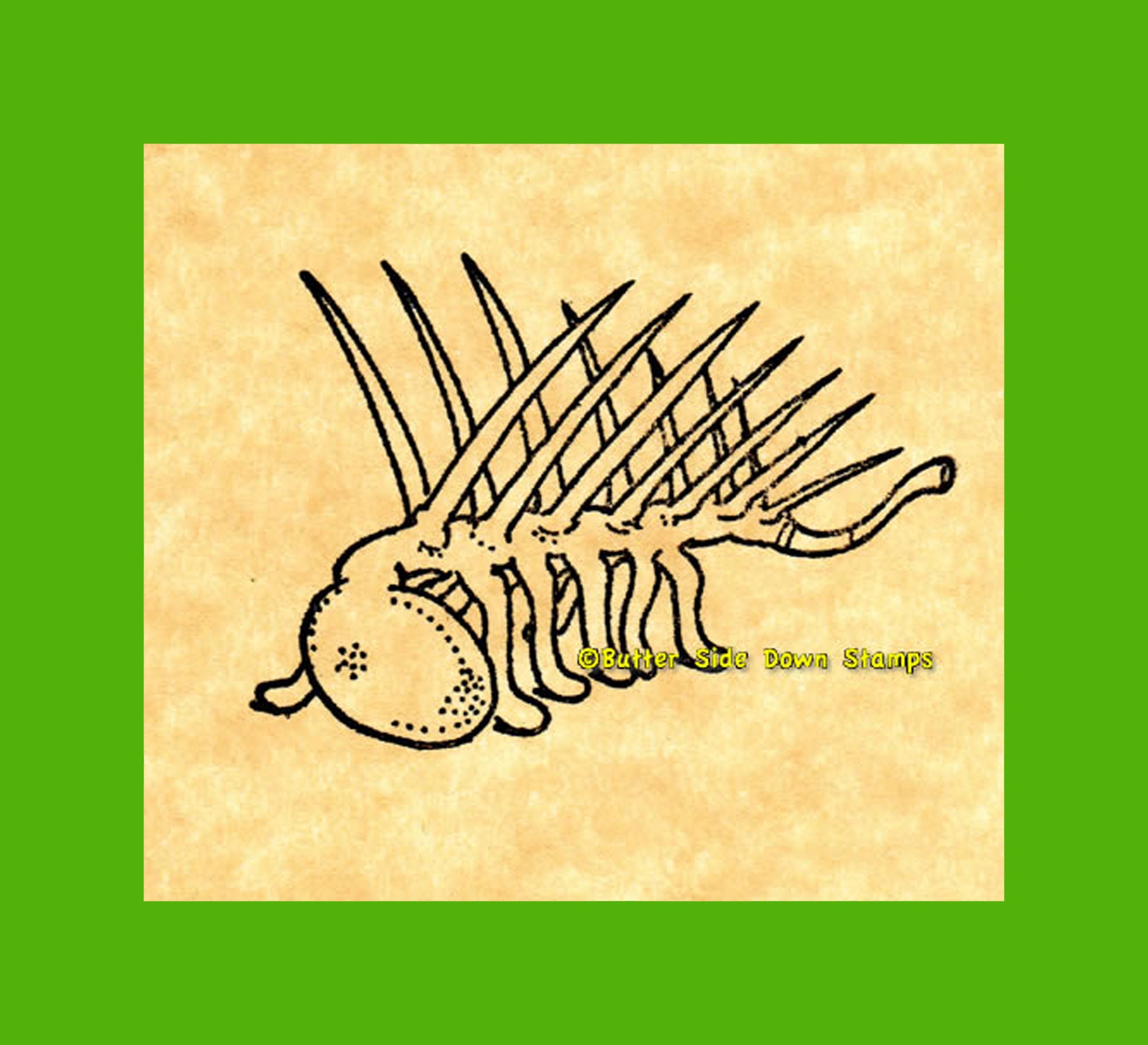 Hallucigenia Burgess Shale Fossil Rubber Stamp - Etsy Canada