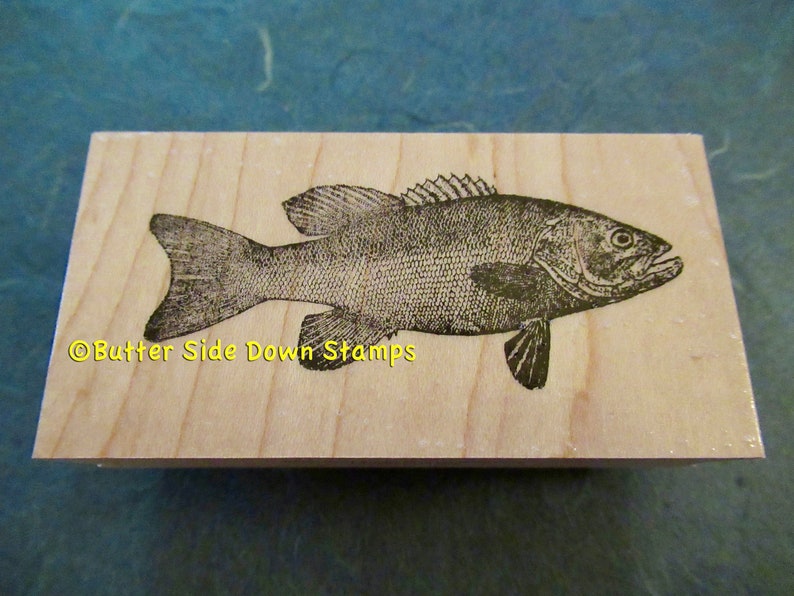 Smallmouth Bass Gamefish Rubber Stamp - Etsy