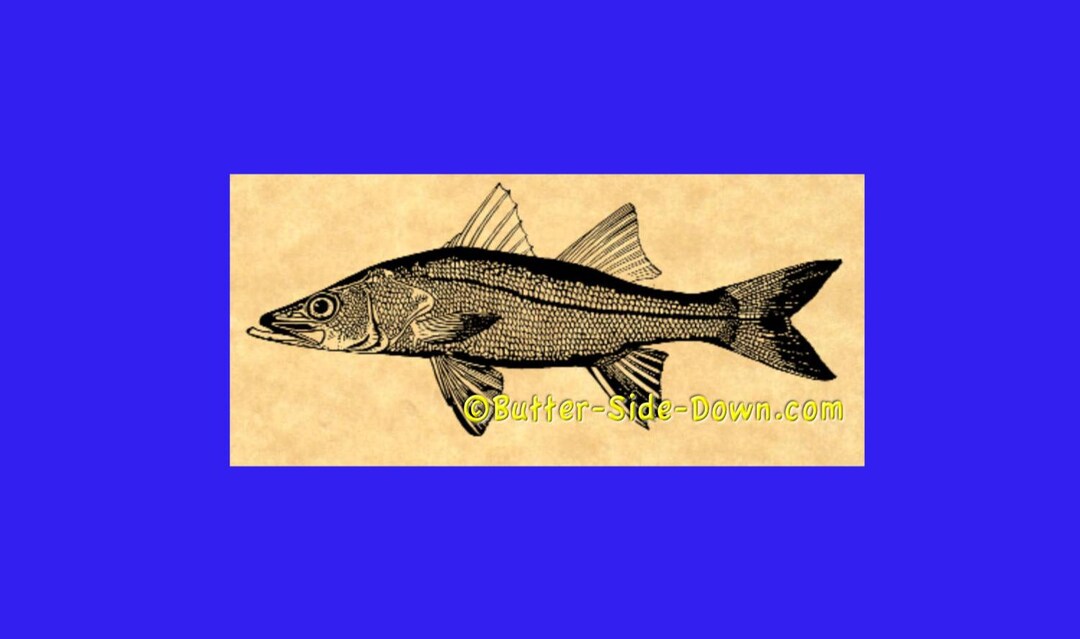 Snook Game Fish Rubber Stamp - Etsy