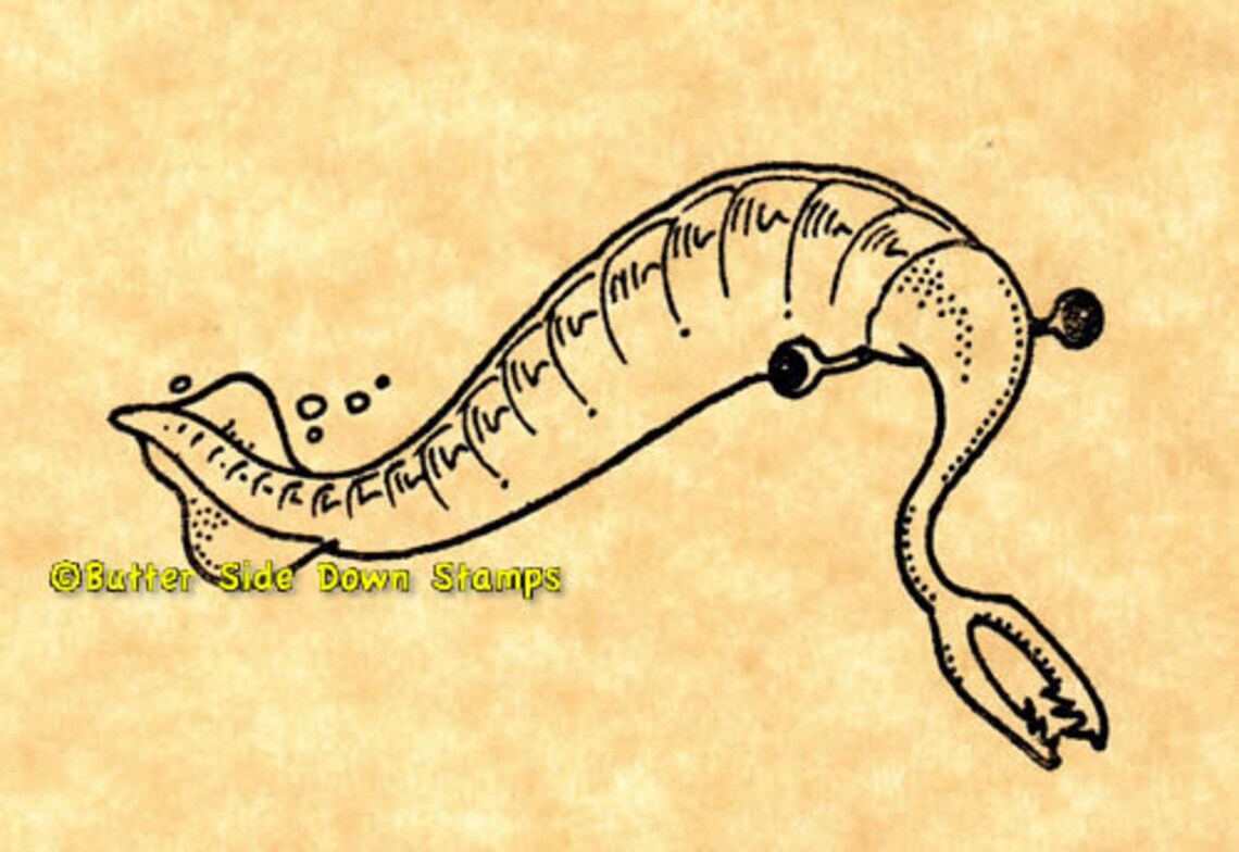 Tully Monster Fossil Rubber Stamp Illinois State Fossil | Etsy