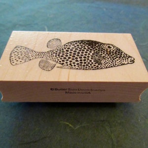 Spotted Trunkfish Caribbean Reef Rubber Stamp - Etsy