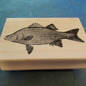 White Bass Game Fish Rubber Stamp - Etsy