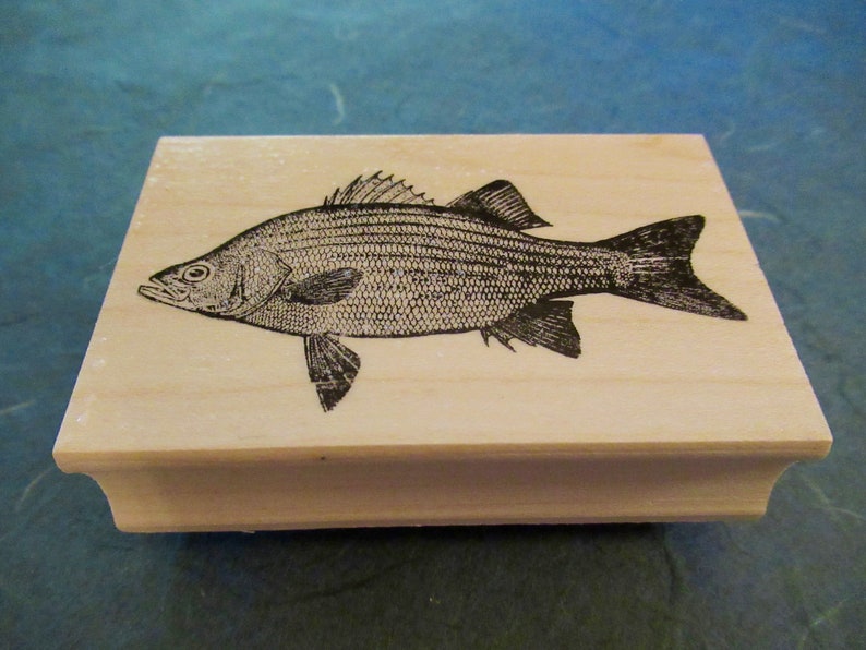 White Bass Game Fish Rubber Stamp - Etsy