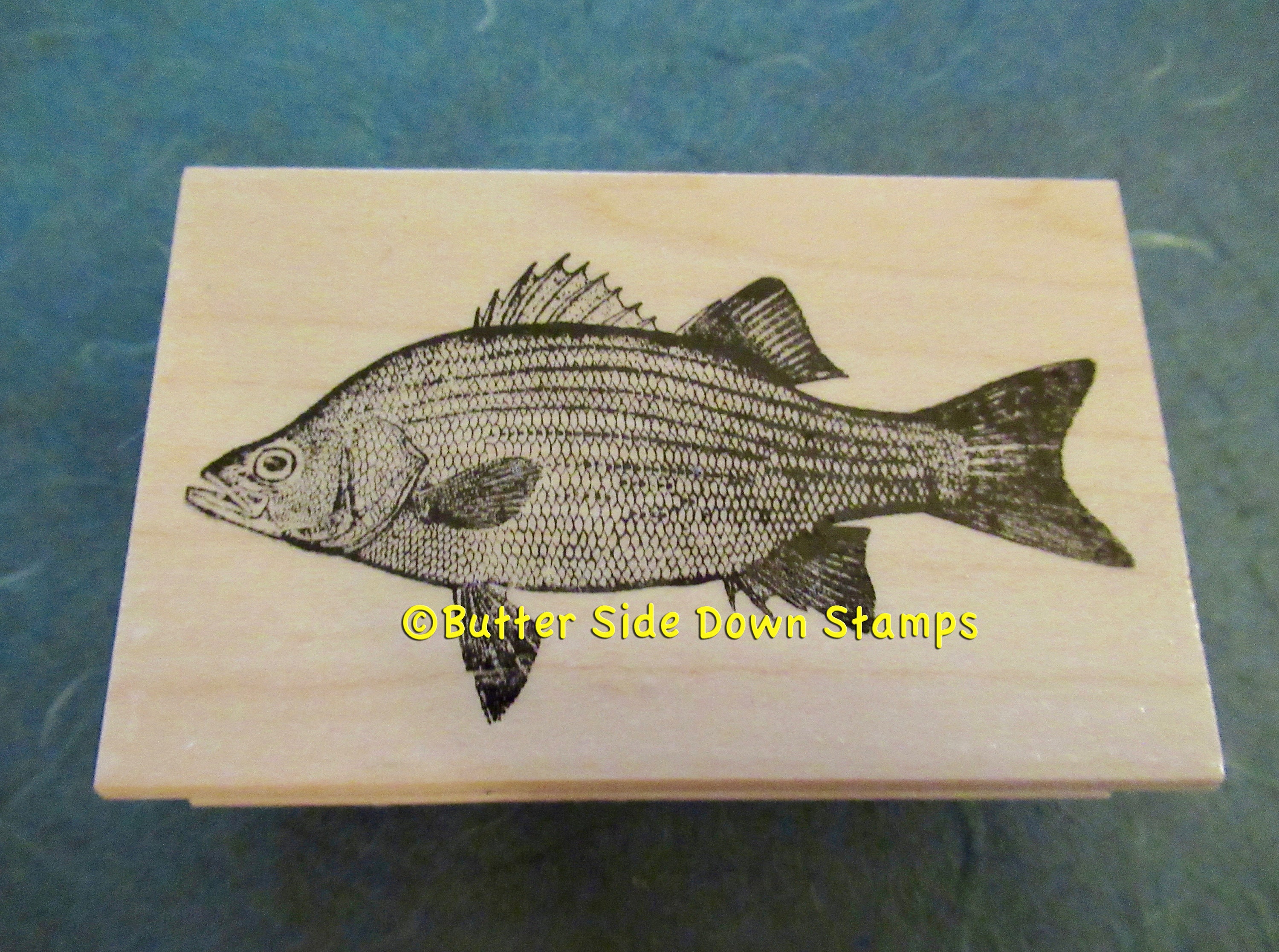 White Bass Game Fish Rubber Stamp - Etsy