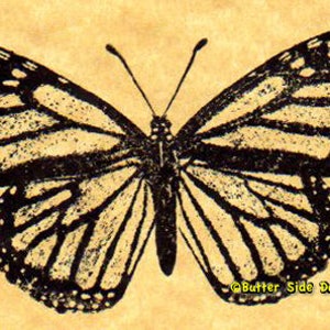 Monarch Butterfly Rubber Stamp - Etsy