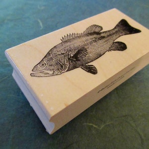 Largemouth Bass Gamefish Rubber Stamp - Etsy
