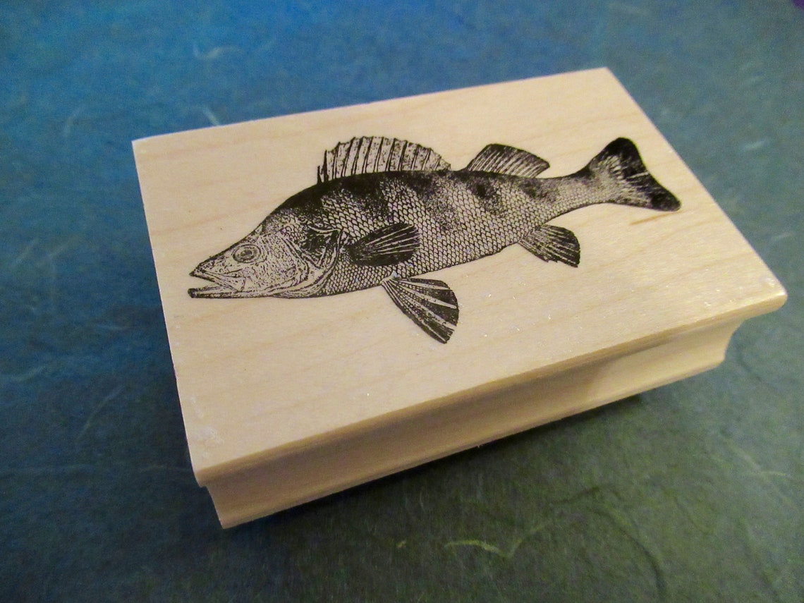 Yellow Perch Gamefish Rubber Stamp - Etsy