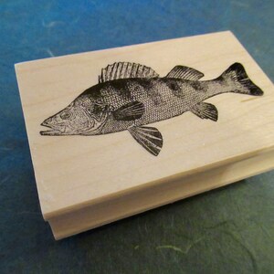 Yellow Perch Gamefish Rubber Stamp - Etsy