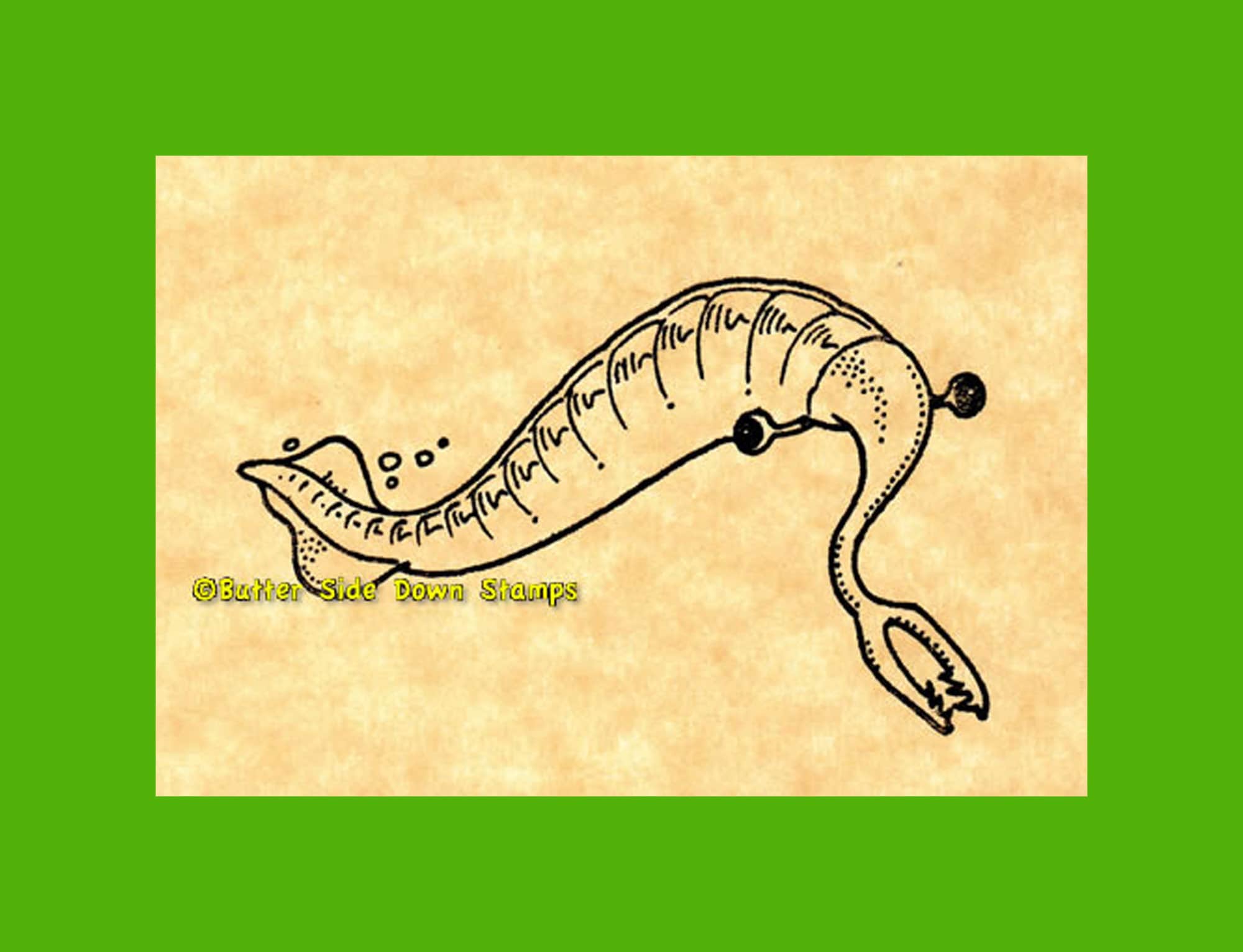 Tully Monster Fossil Rubber Stamp Illinois State Fossil | Etsy