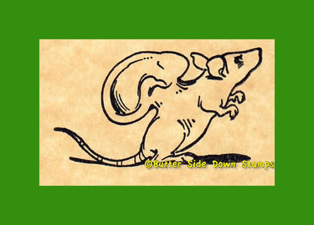 Laboratory Ear Mouse Rubber Stamp - Etsy