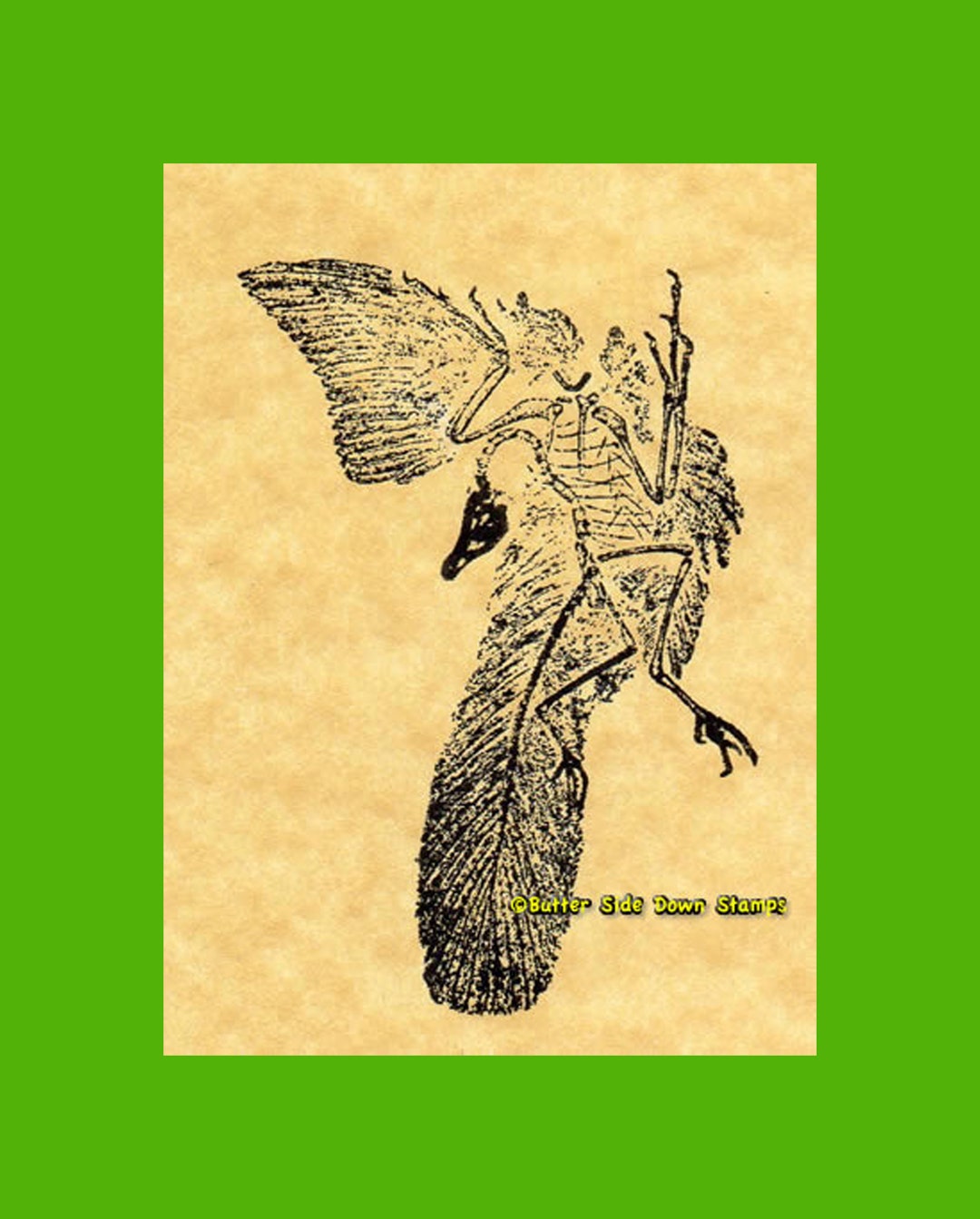 Archaeopteryx Fossil Bird Rubber Stamp - Etsy