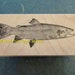 Rainbow Trout Game Fish Rubber Stamp - Etsy