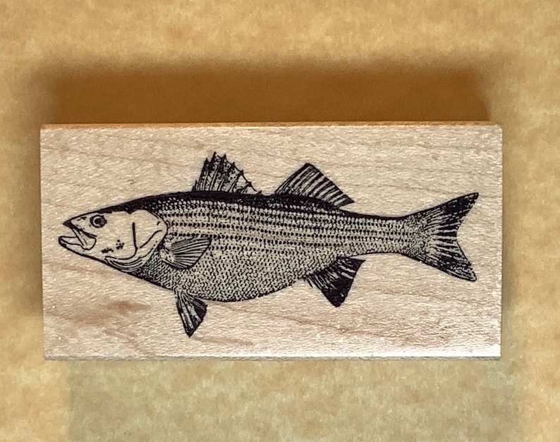 Striped Bass Game Fish Rubber Stamp - Etsy