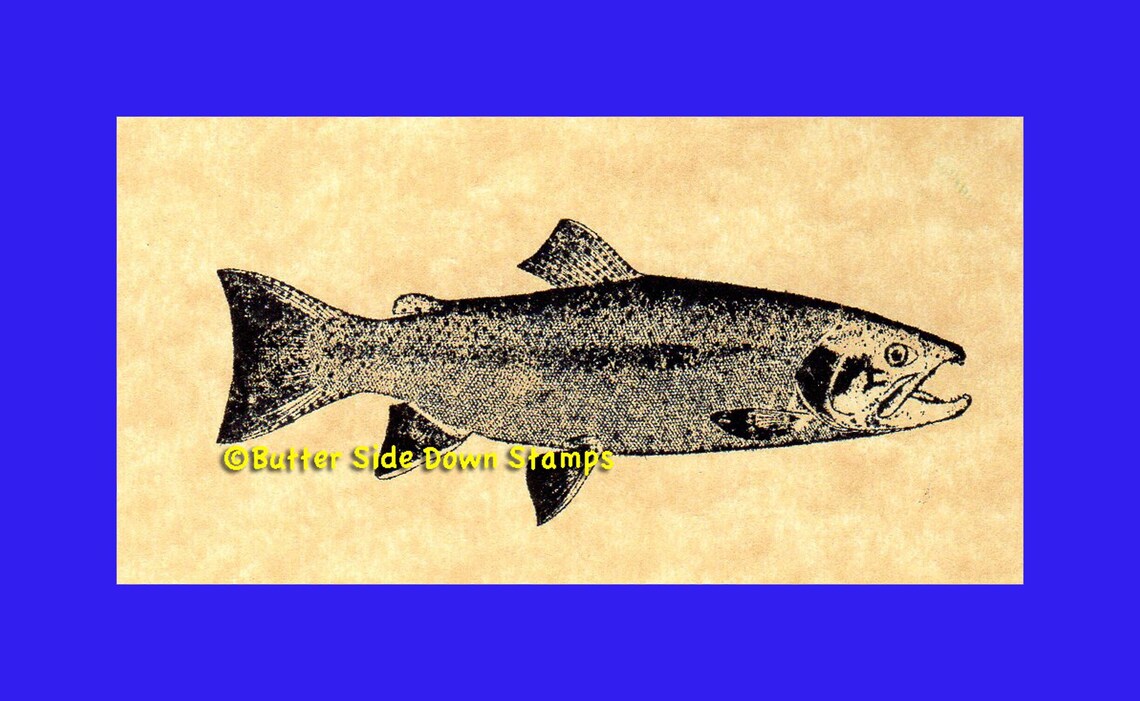 Rainbow Trout Game Fish Rubber Stamp - Etsy