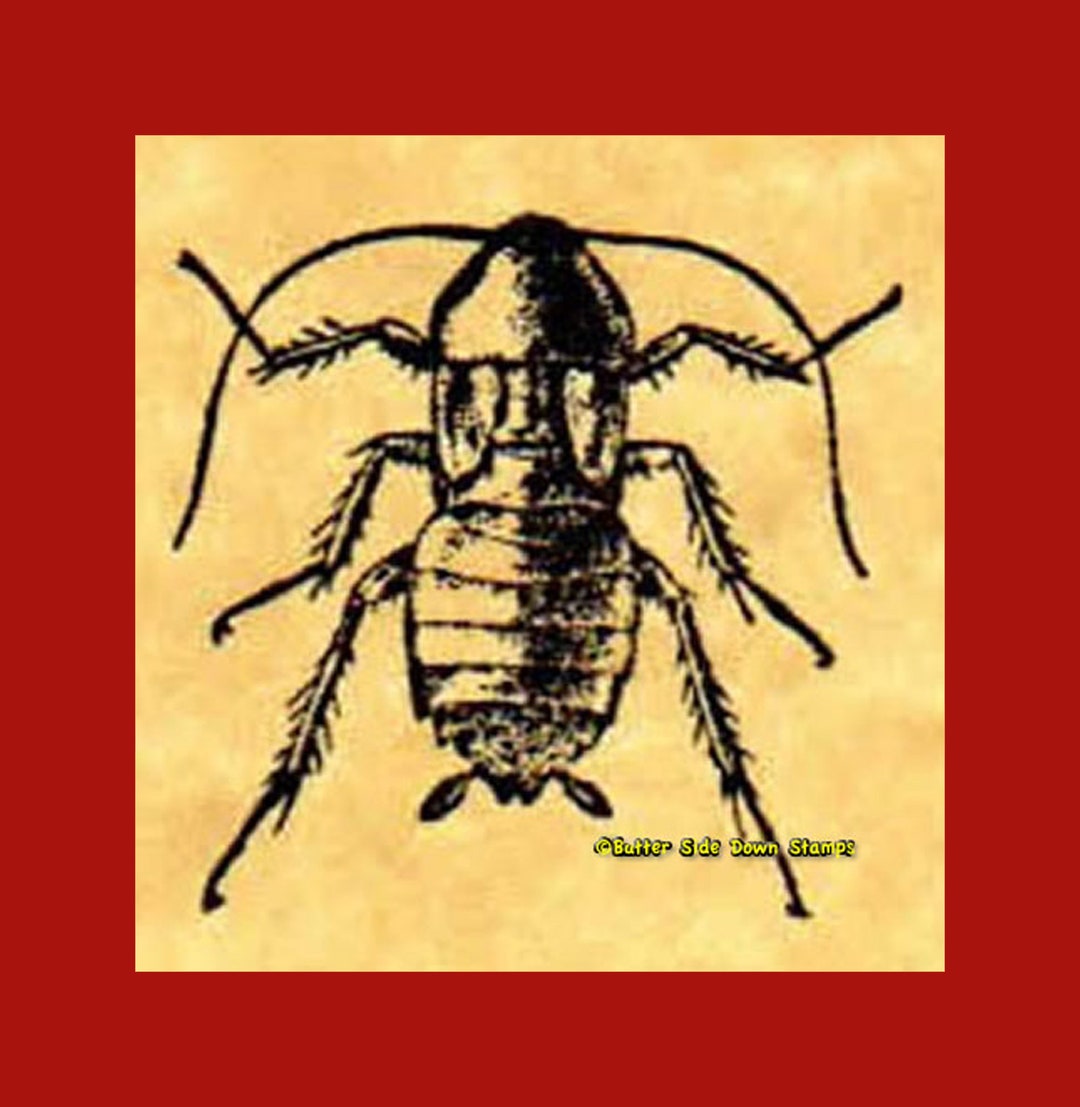 Oriental Cockroach Rubber Stamp - Etsy UK
