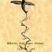 Flying Fish Rubber Stamp - Etsy