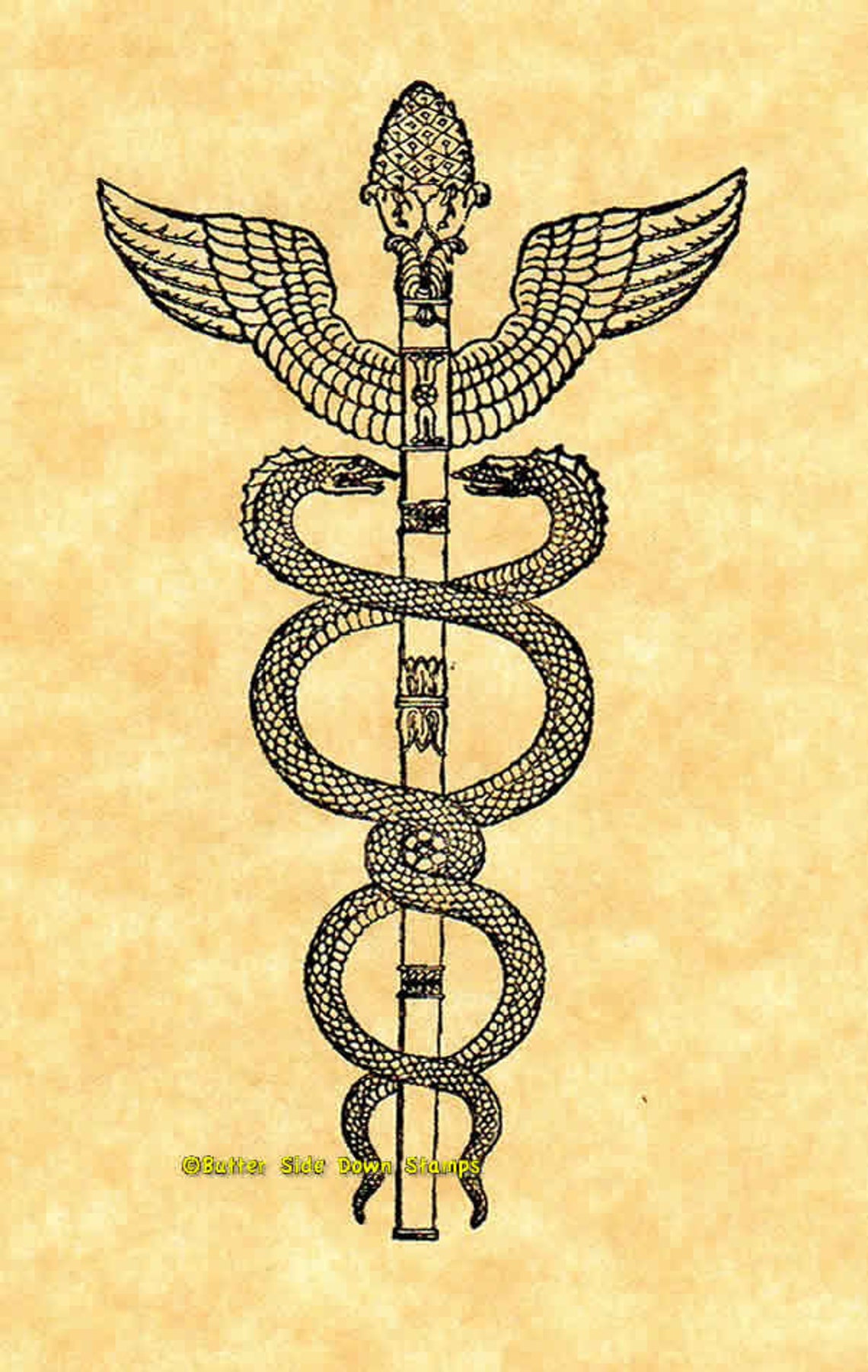 Caduceus Snake Staff Rubber Stamp Medical Symbol - Etsy