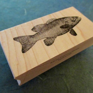 Smallmouth Bass Gamefish Rubber Stamp - Etsy