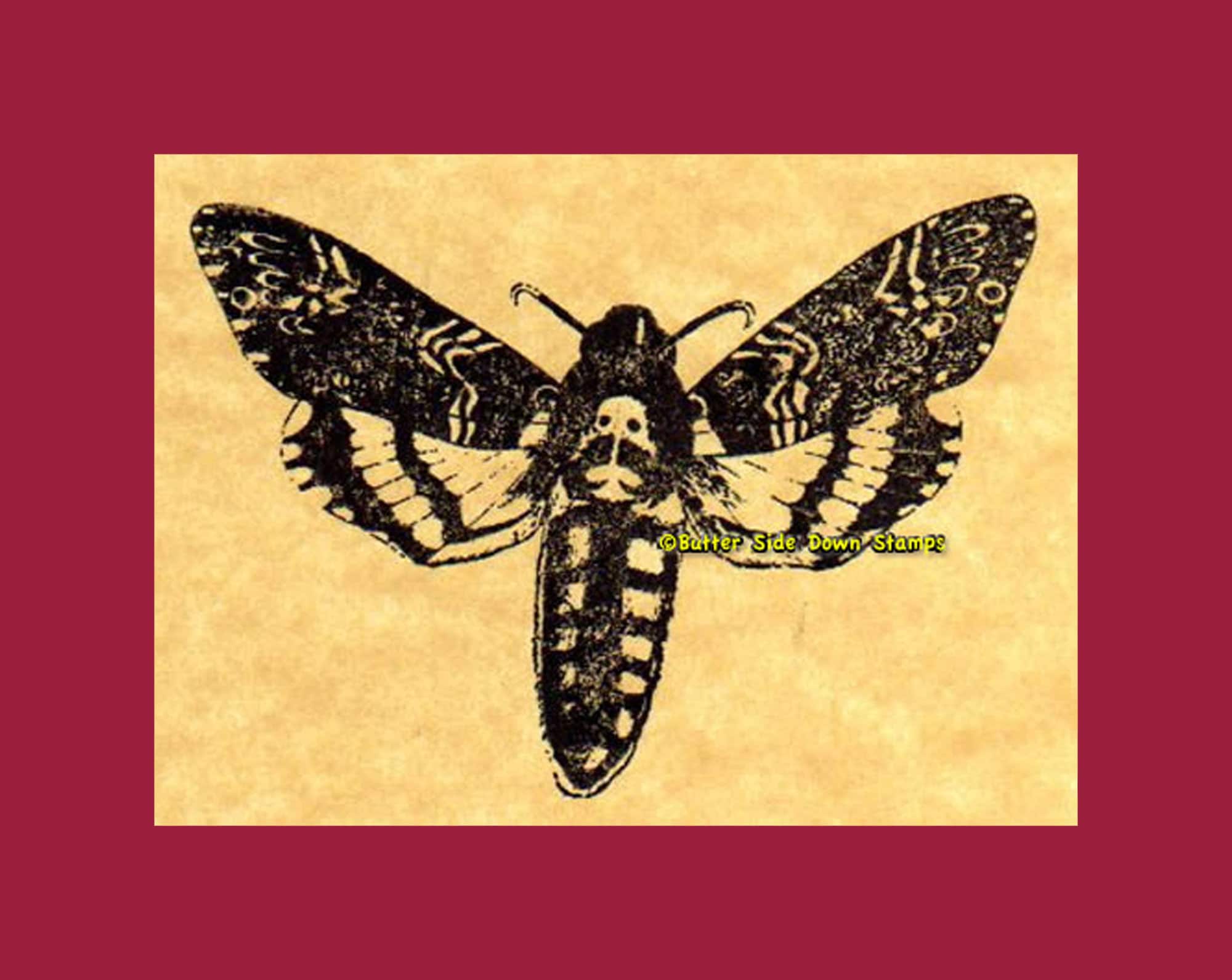 Death's-head Hawkmoth Rubber Stamp - Etsy
