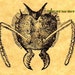 Giant Ant Head Rubber Stamp - Etsy