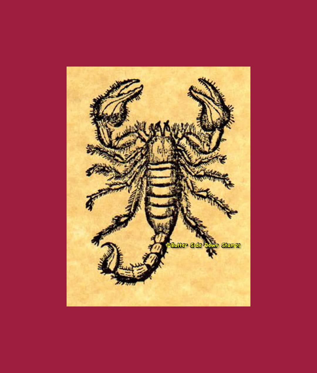 Desert Scorpion Rubber Stamp - Etsy
