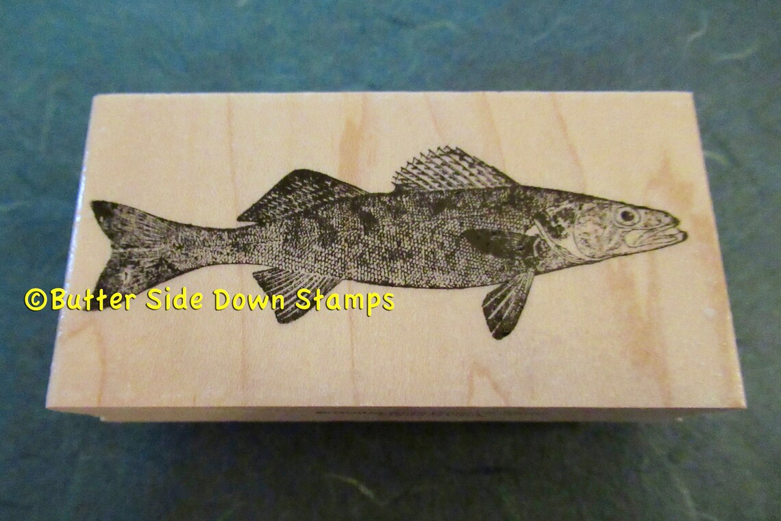 Walleye Game Fish Rubber Stamp - Etsy