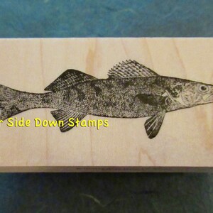 Walleye Game Fish Rubber Stamp - Etsy