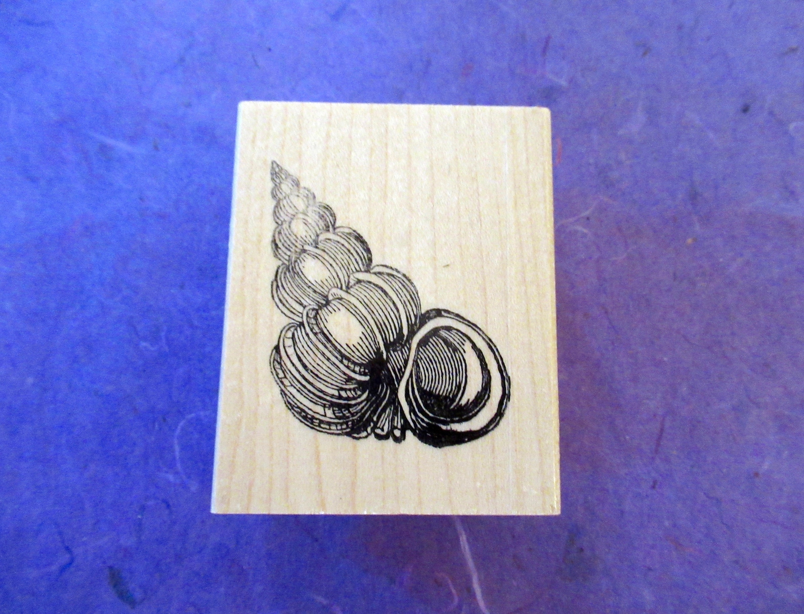 Wentletrap Shell Rubber Stamp Seashell - Etsy